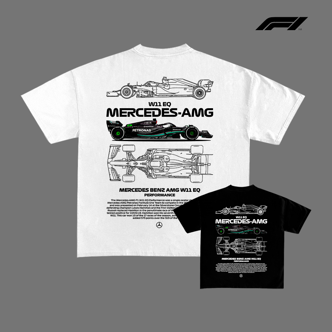 Formula 1 Mercedes AMG W1 EQ - Lewis Hamilton F1 – Pardell